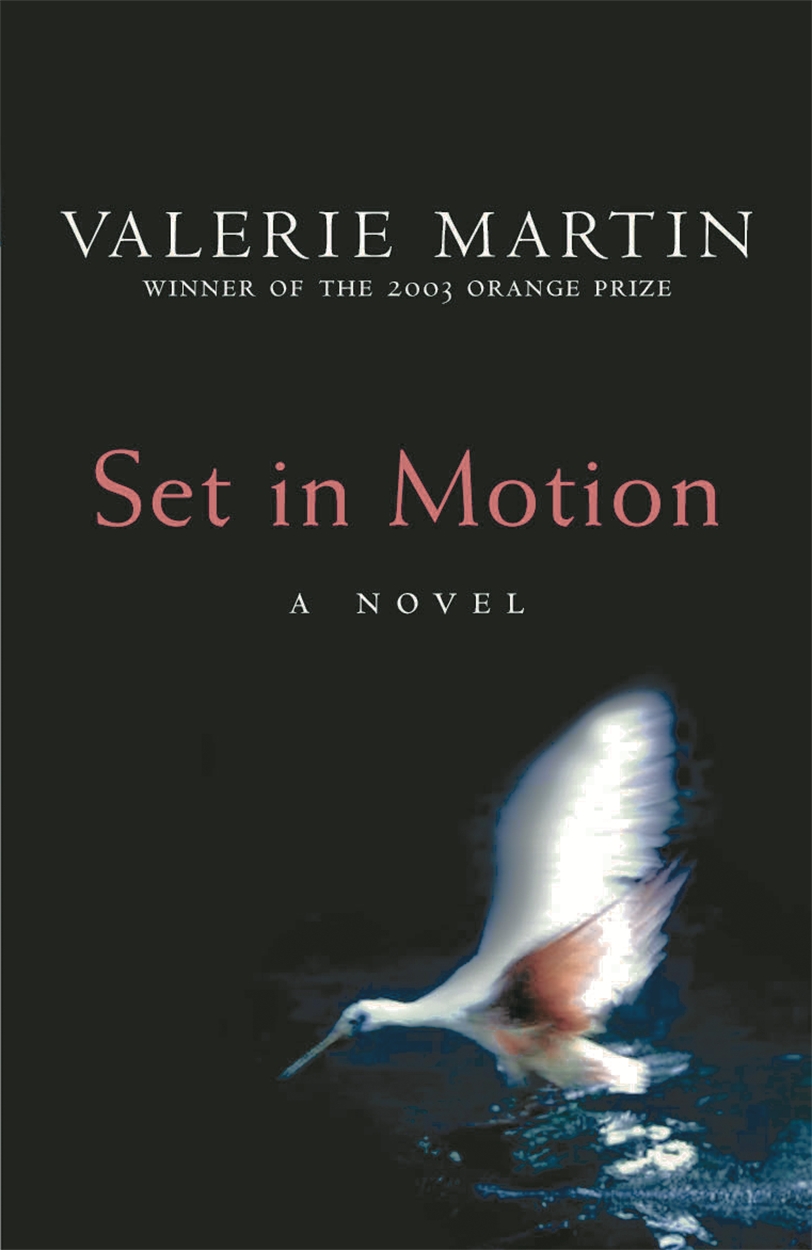 Set In Motion by Valerie Martin | W&N - Ground-breaking, award-winning ...