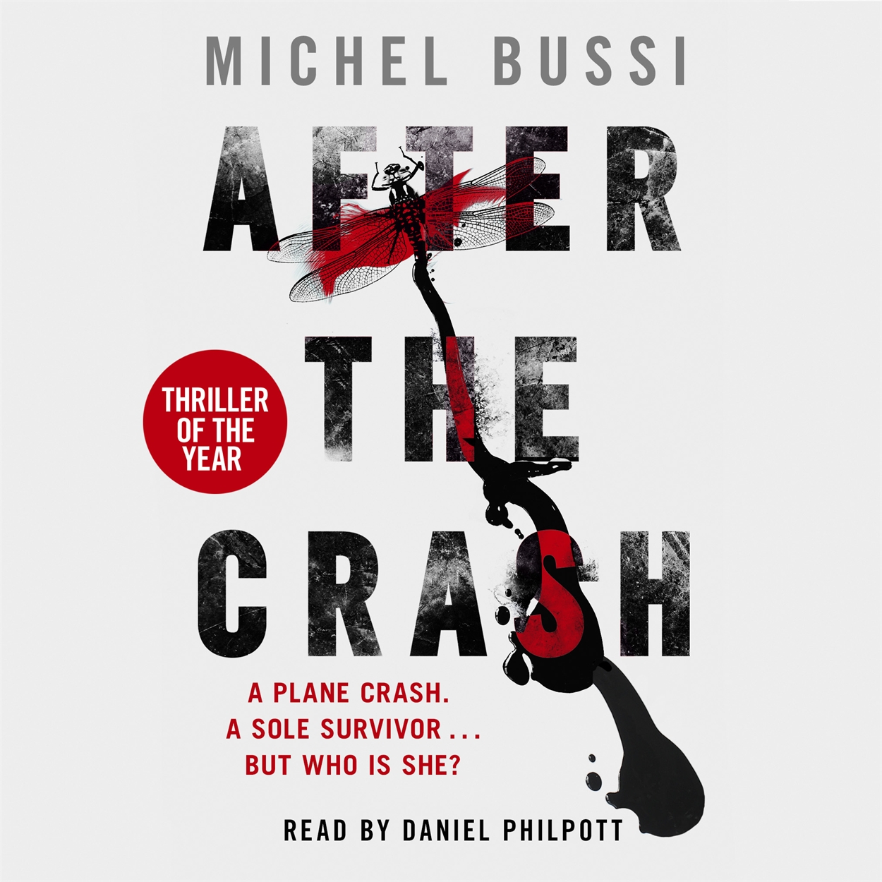 After the Crash by Daniel Philpott | W&N - Ground-breaking, award ...