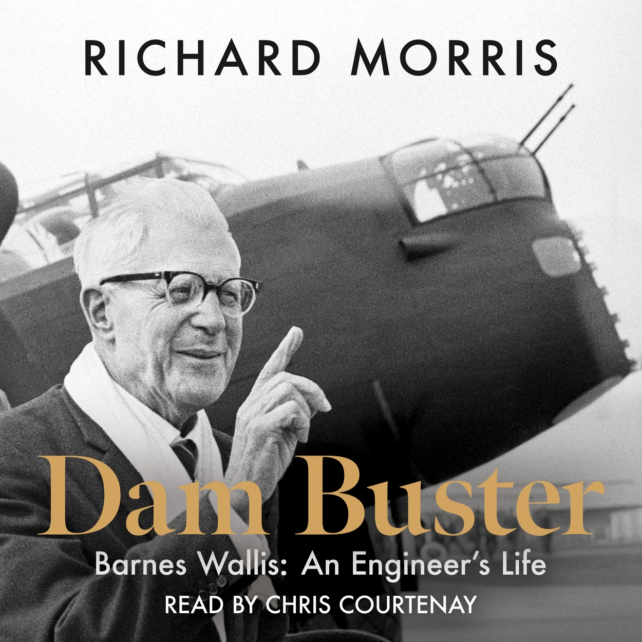 Dam Buster by Richard Morris | W&N - Ground-breaking, award-winning ...