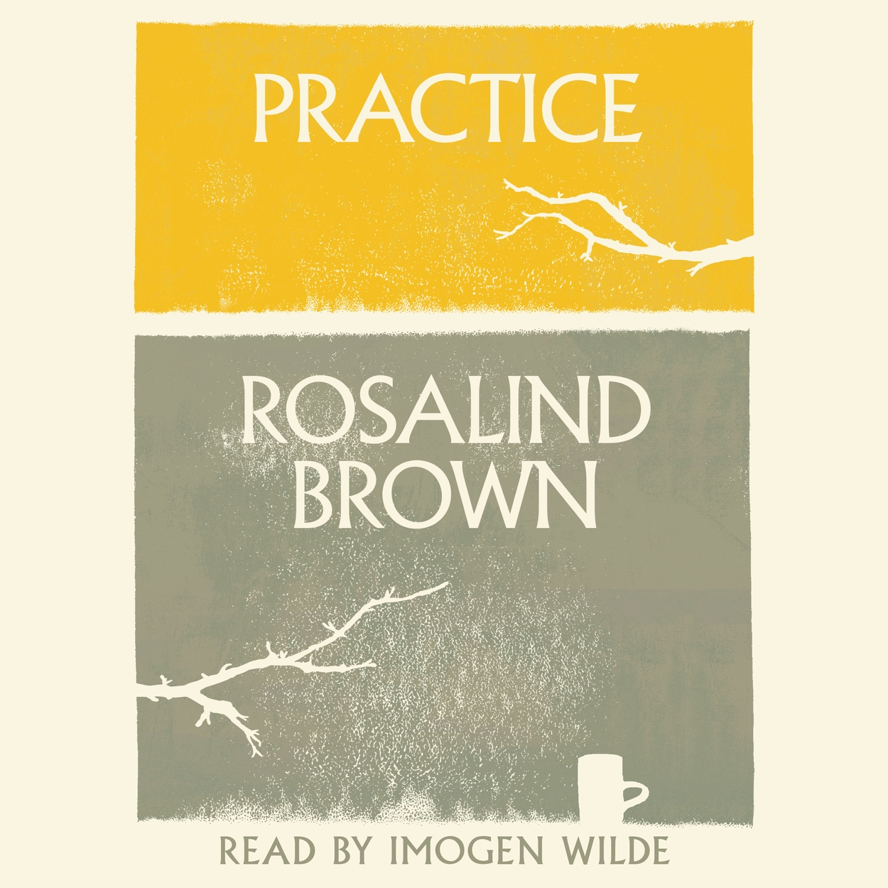 Practice by Rosalind Brown | W&N - Ground-breaking, award-winning ...